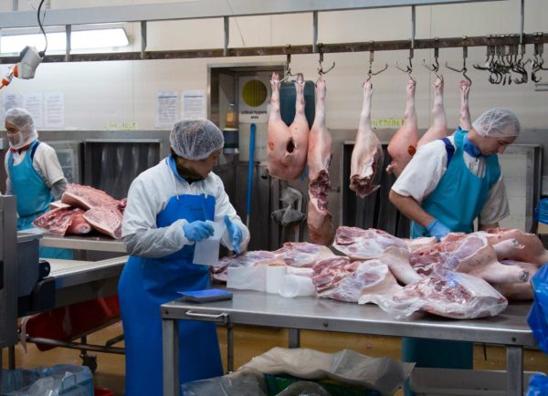 Meat Processing - Cabernet Foods | NZ Meat Wholesalers & Processors